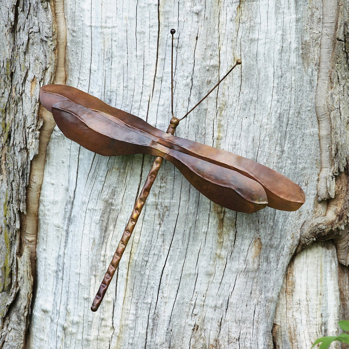 Dragonfly Flamed Metal Wall Sculpture | Momma's Home Store