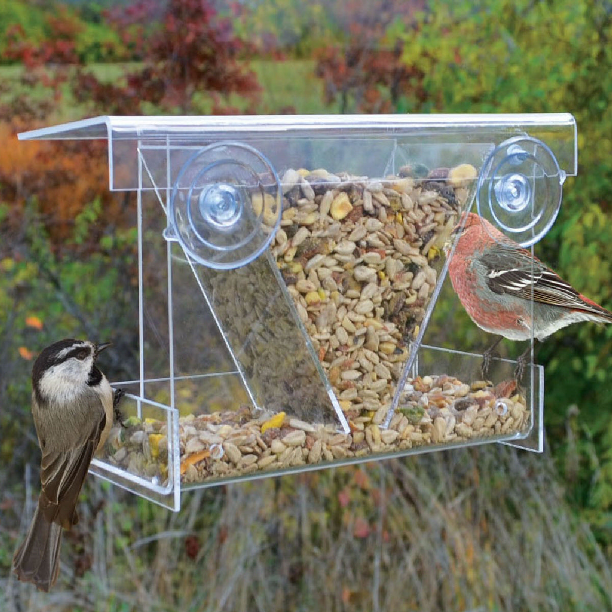 Clear View Hopper Window Feeder | Momma's Home Store